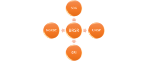 BRSR Reporting: Actions and disclosures required for business ...